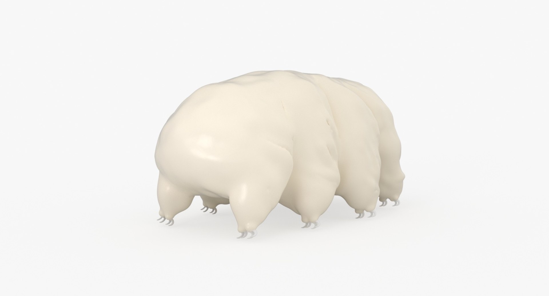 Water bear 3D model - TurboSquid 1359161