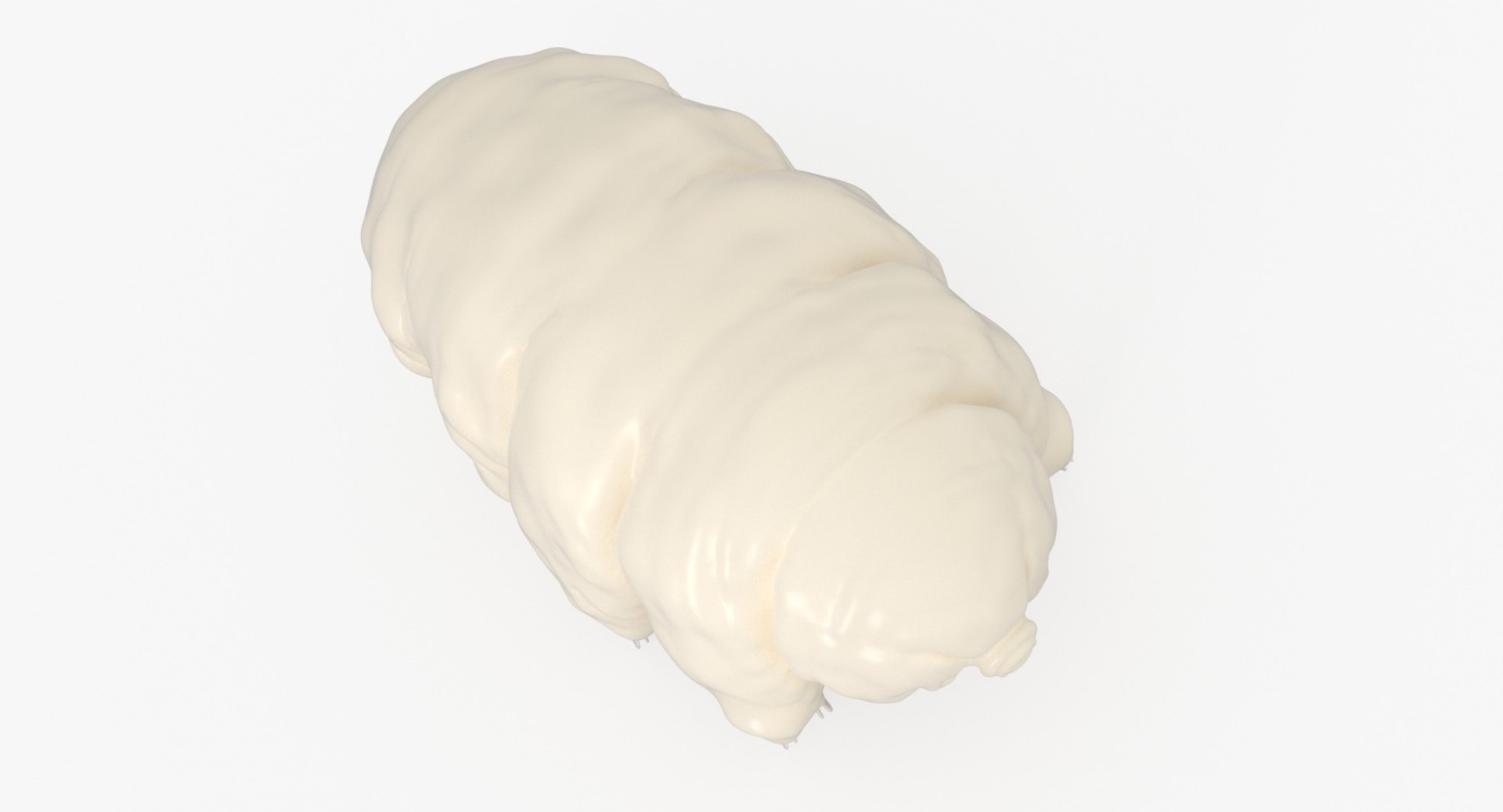 Water bear 3D model - TurboSquid 1359161