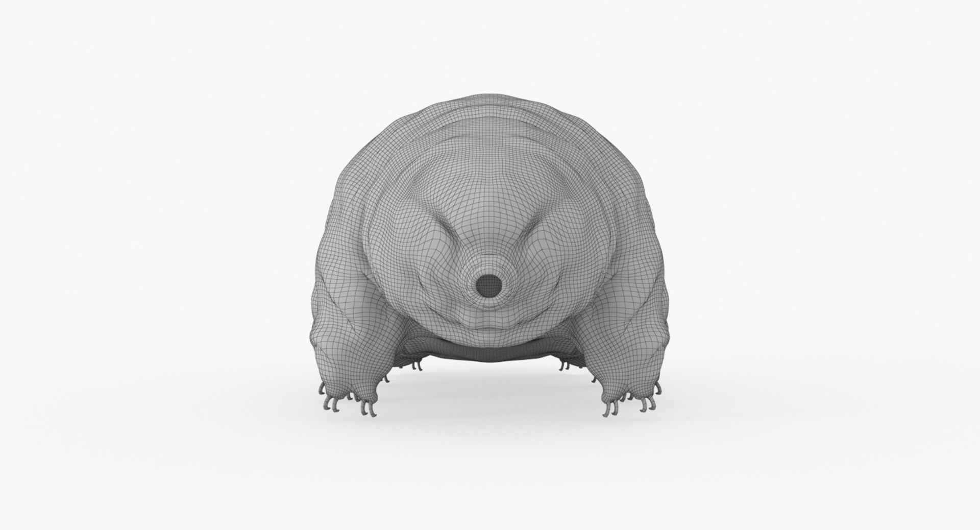 Water bear 3D model - TurboSquid 1359161