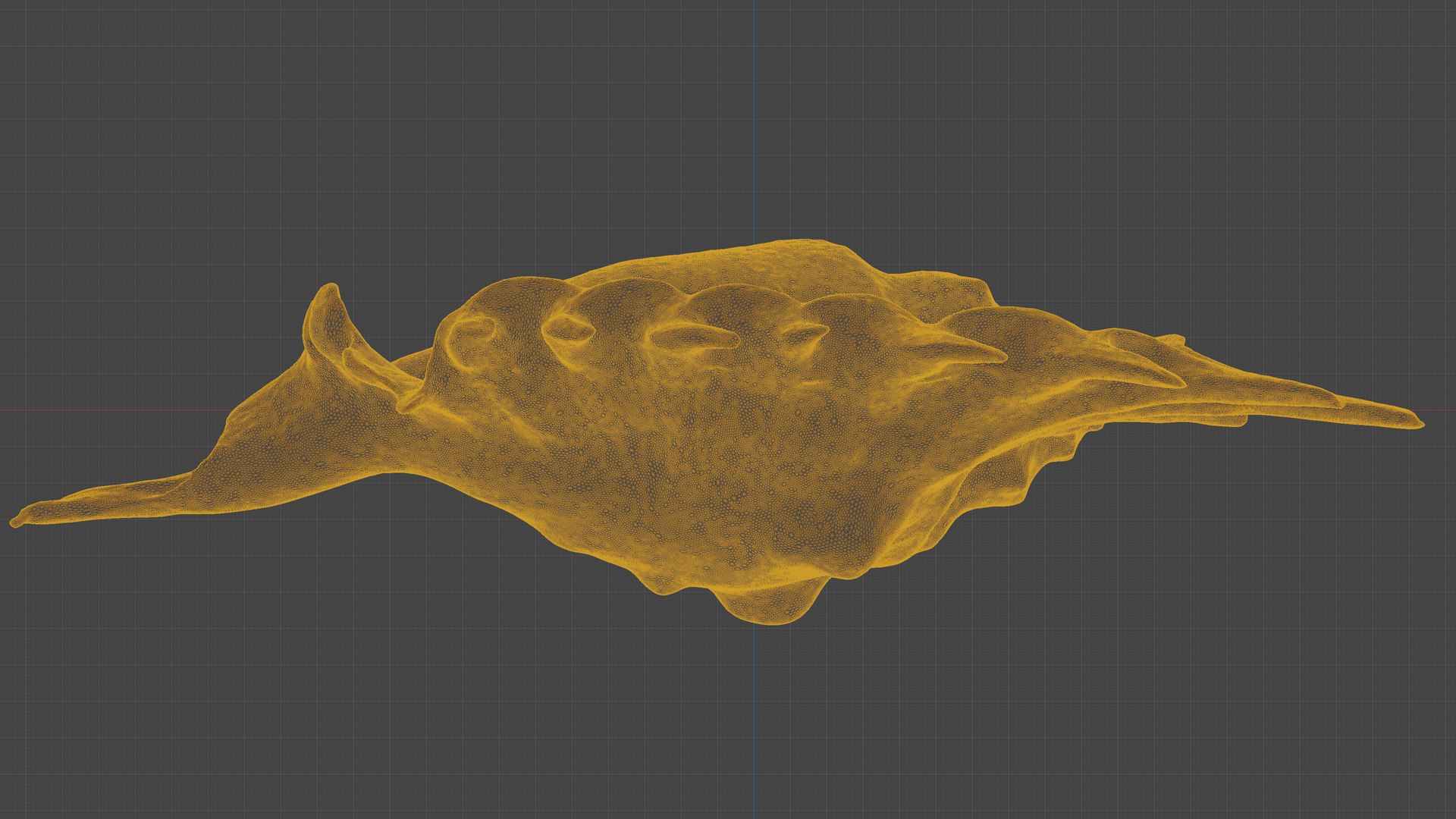 3D Scanned Seashell - TurboSquid 2345933