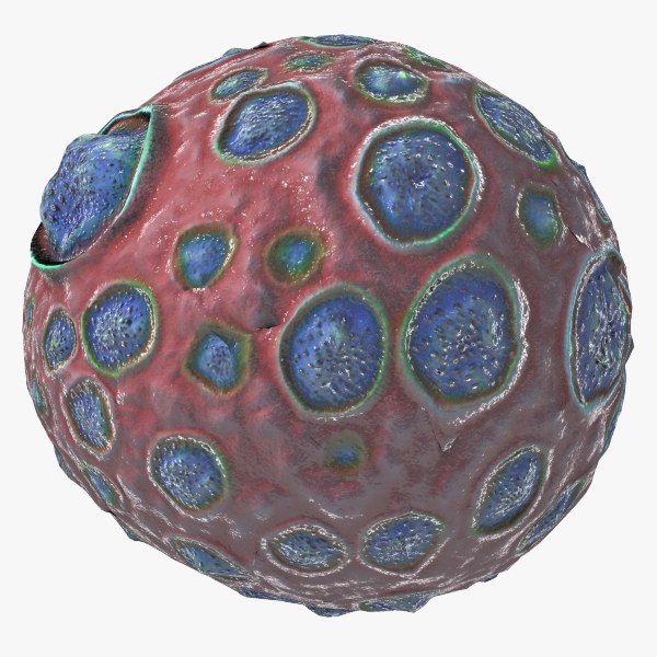 Virus De La Anemia 3D Modelos para Descargar | TurboSquid