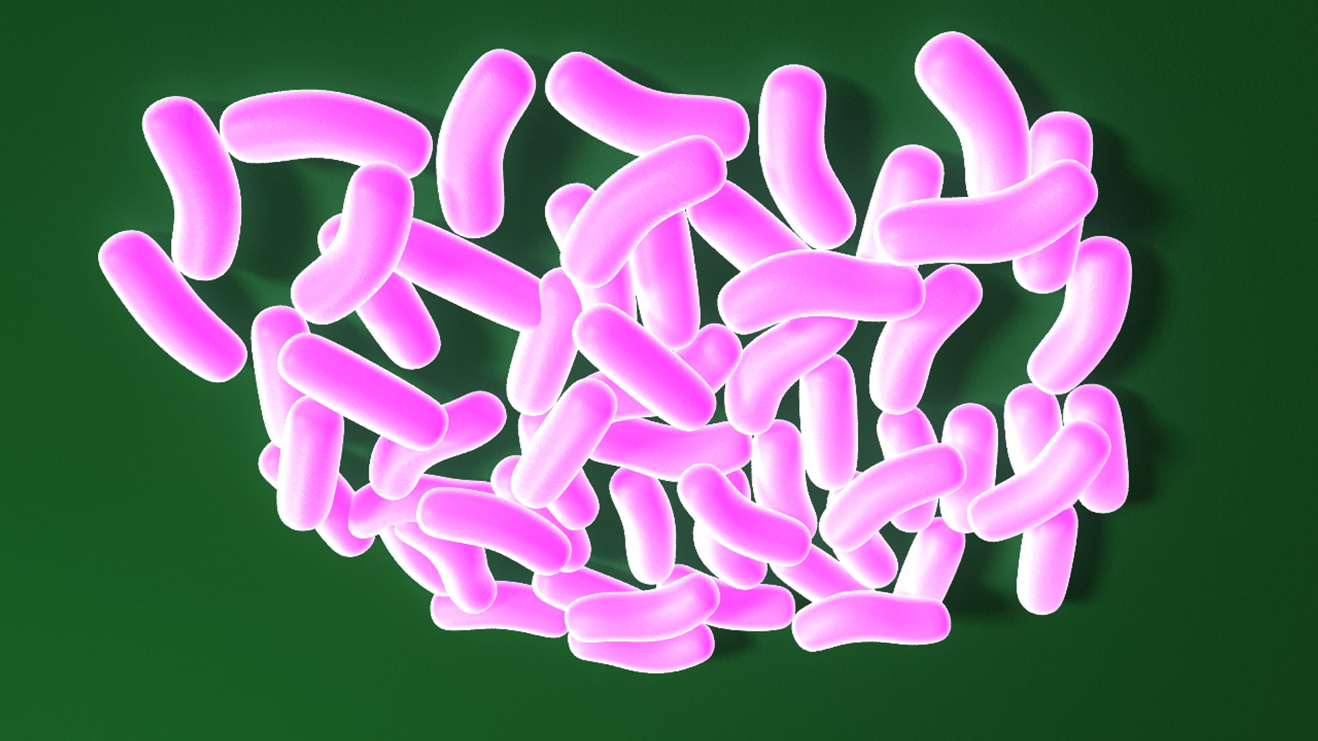 Maya Hydrogenophilaceae Betaproteobacteria Proteobacteria