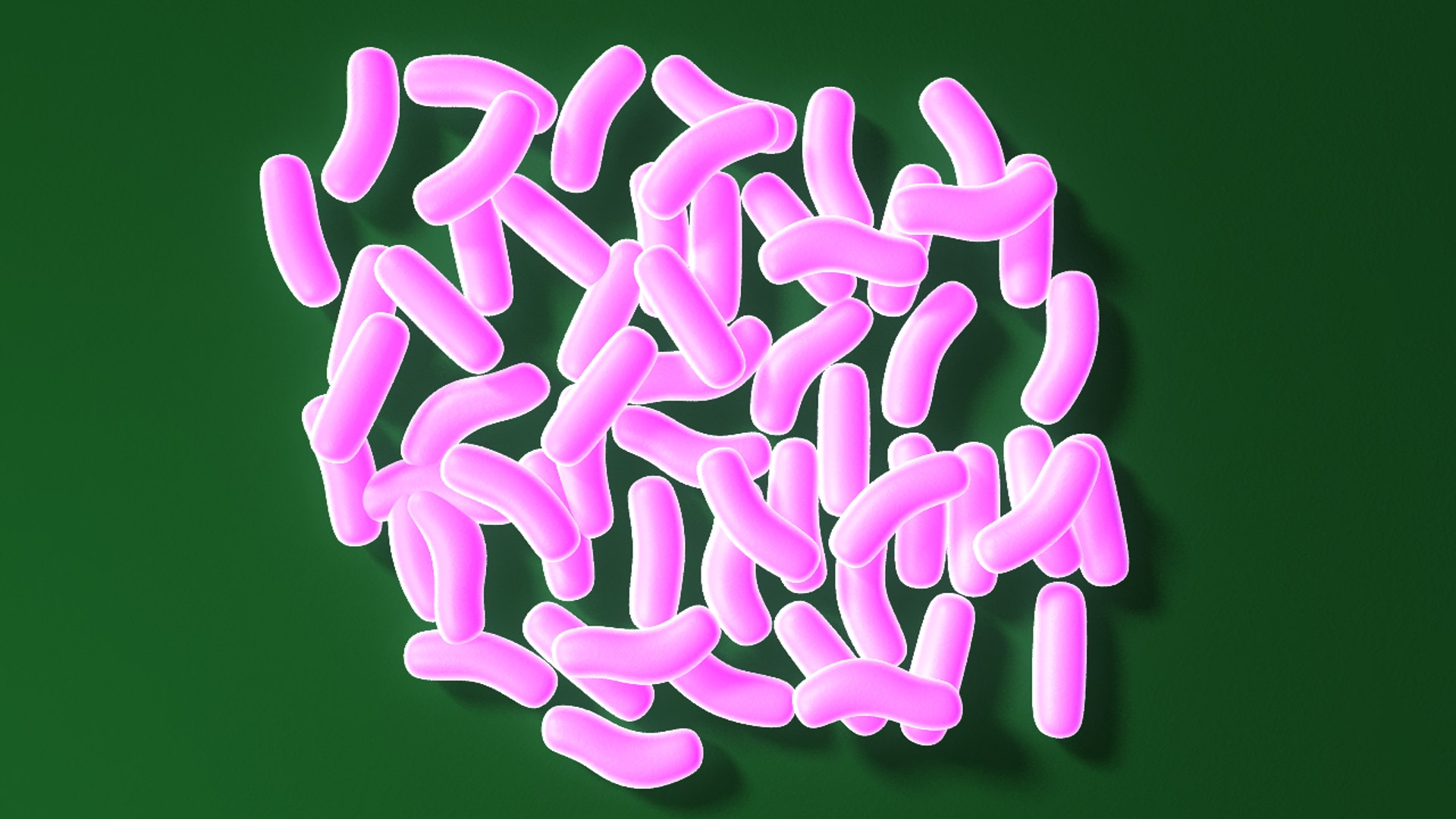 Maya Hydrogenophilaceae Betaproteobacteria Proteobacteria
