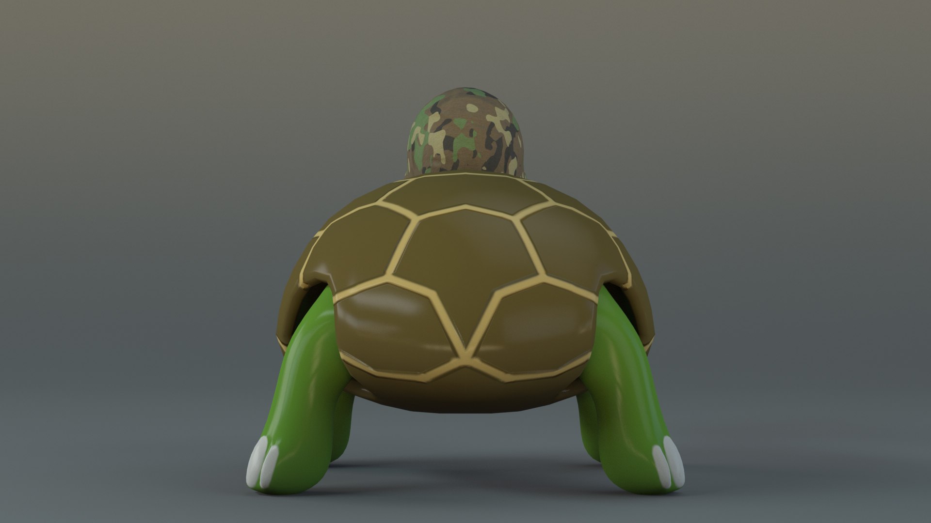 3D Tortoise - TurboSquid 1668526