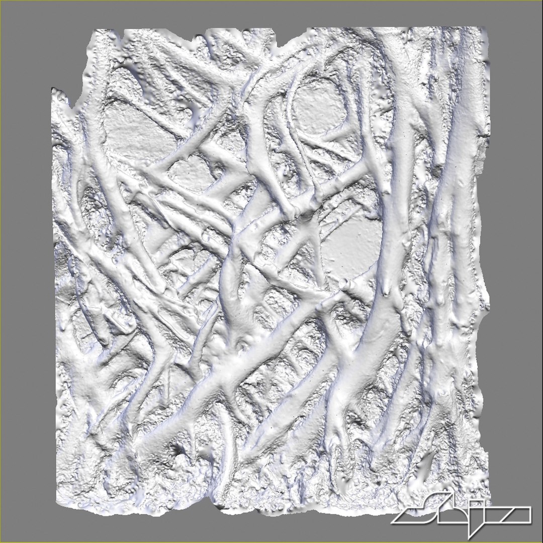Banyan Roots Wall 3d Max
