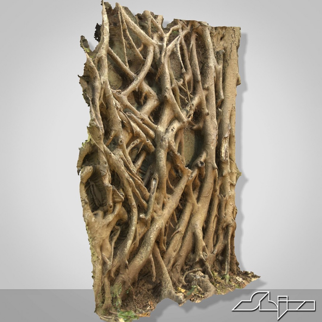 Banyan Roots Wall 3d Max