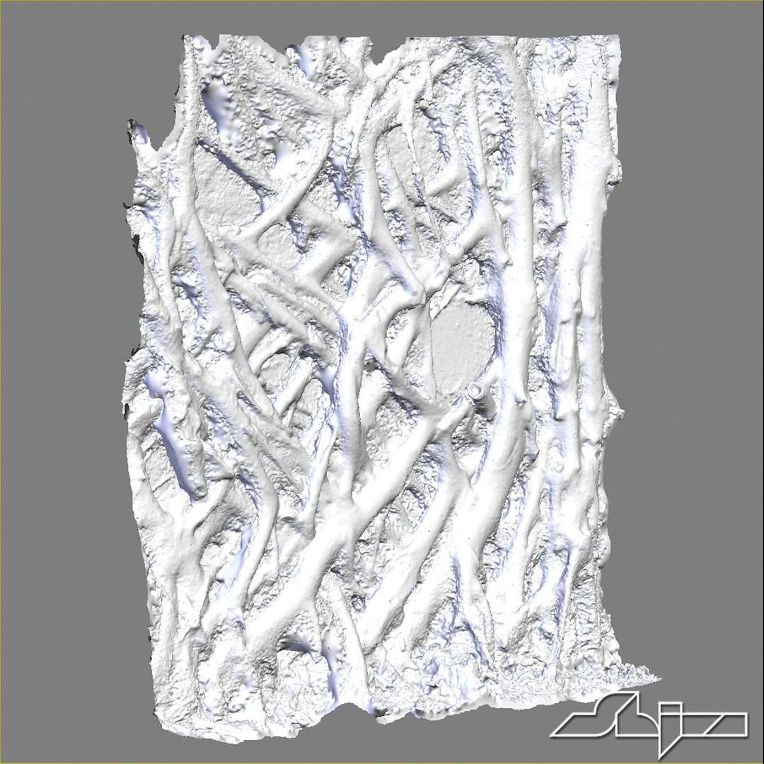 Banyan Roots Wall 3d Max