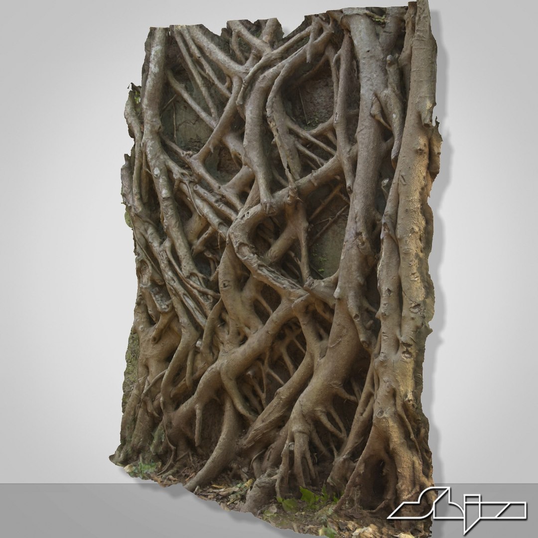 Banyan Roots Wall 3d Max