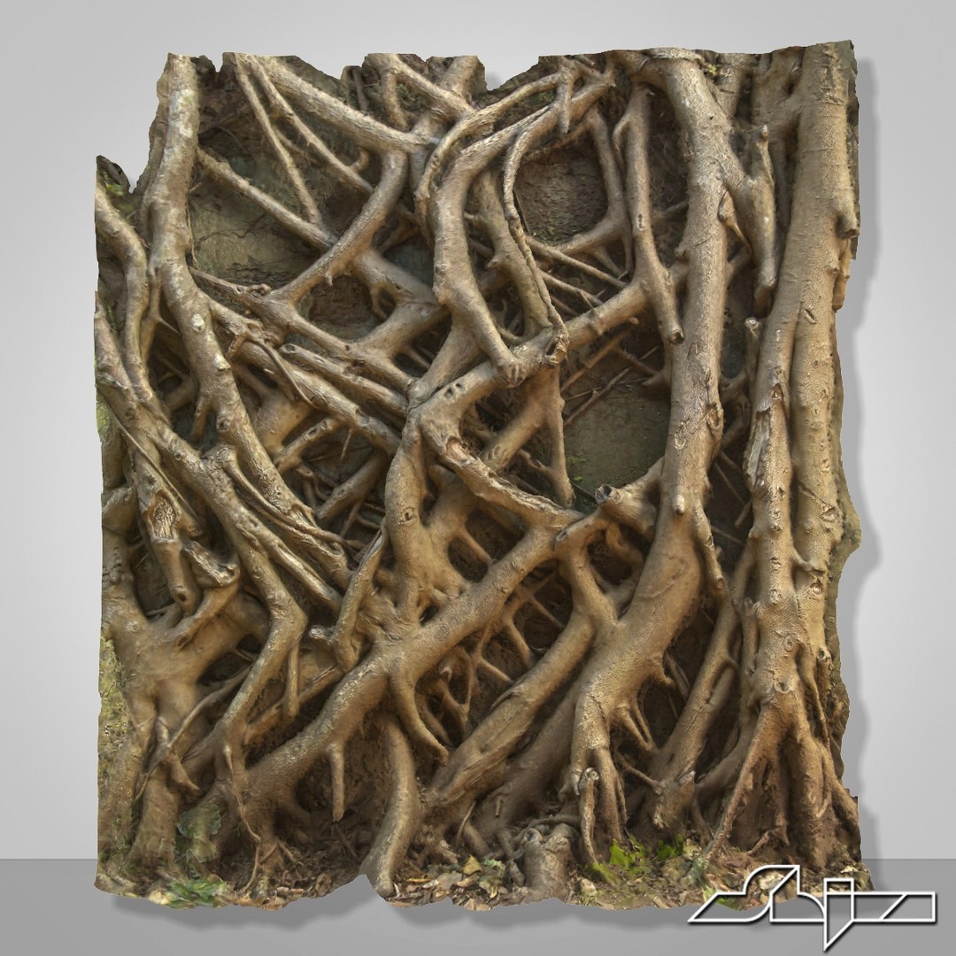 Banyan Roots Wall 3d Max