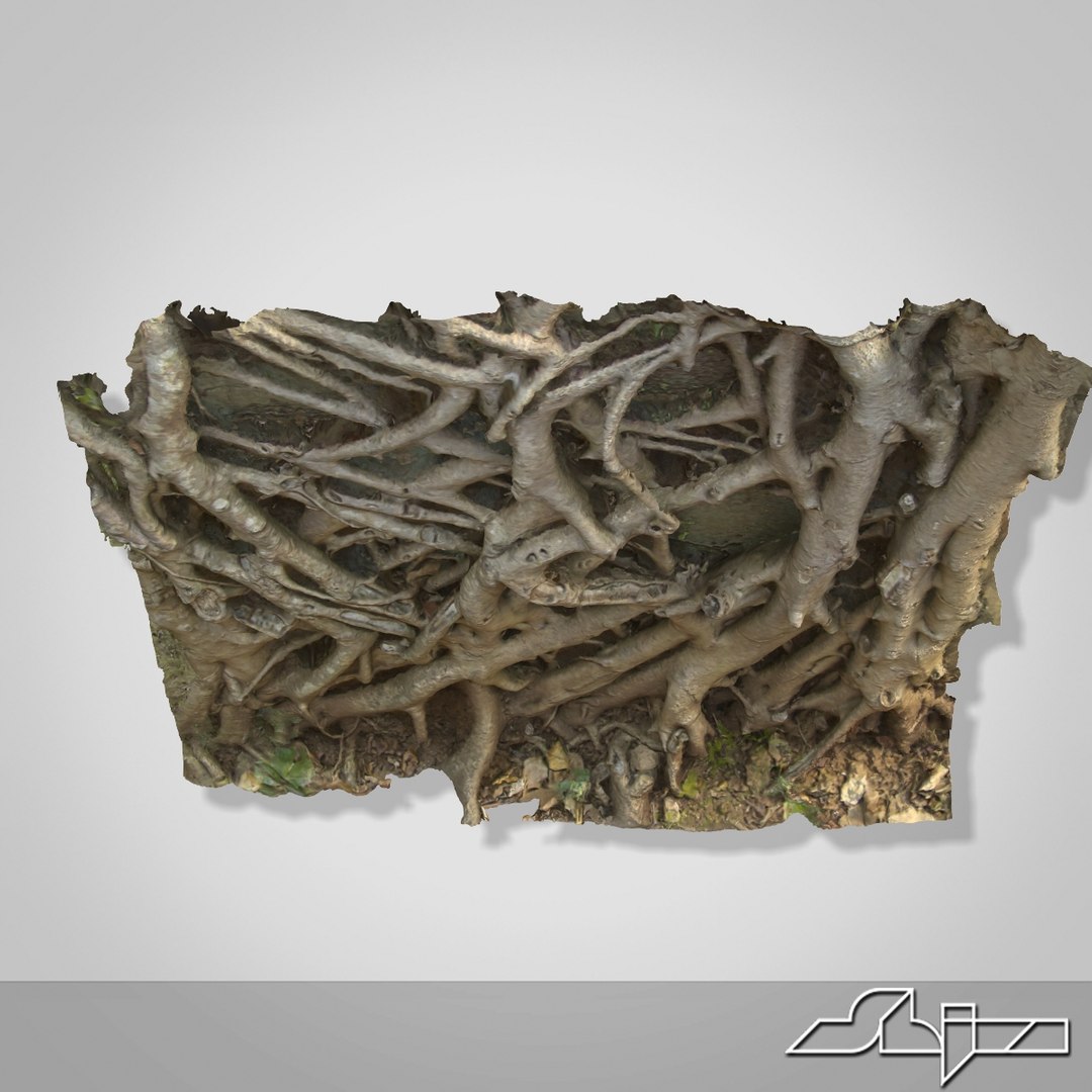 Banyan Roots Wall 3d Max