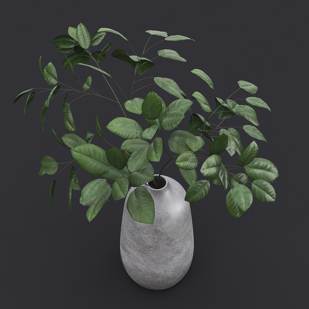 3D Tree Branch In Vase I - TurboSquid 2110654