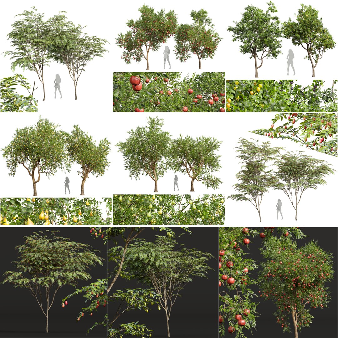 3D 6 Different SETS Of Tree Set Vol 26 Model - TurboSquid 2185874