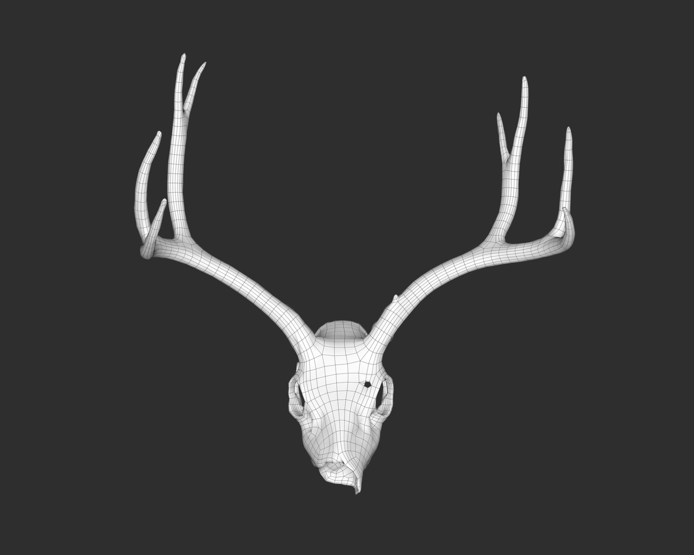 Deer Skull 3D Model - TurboSquid 1628671