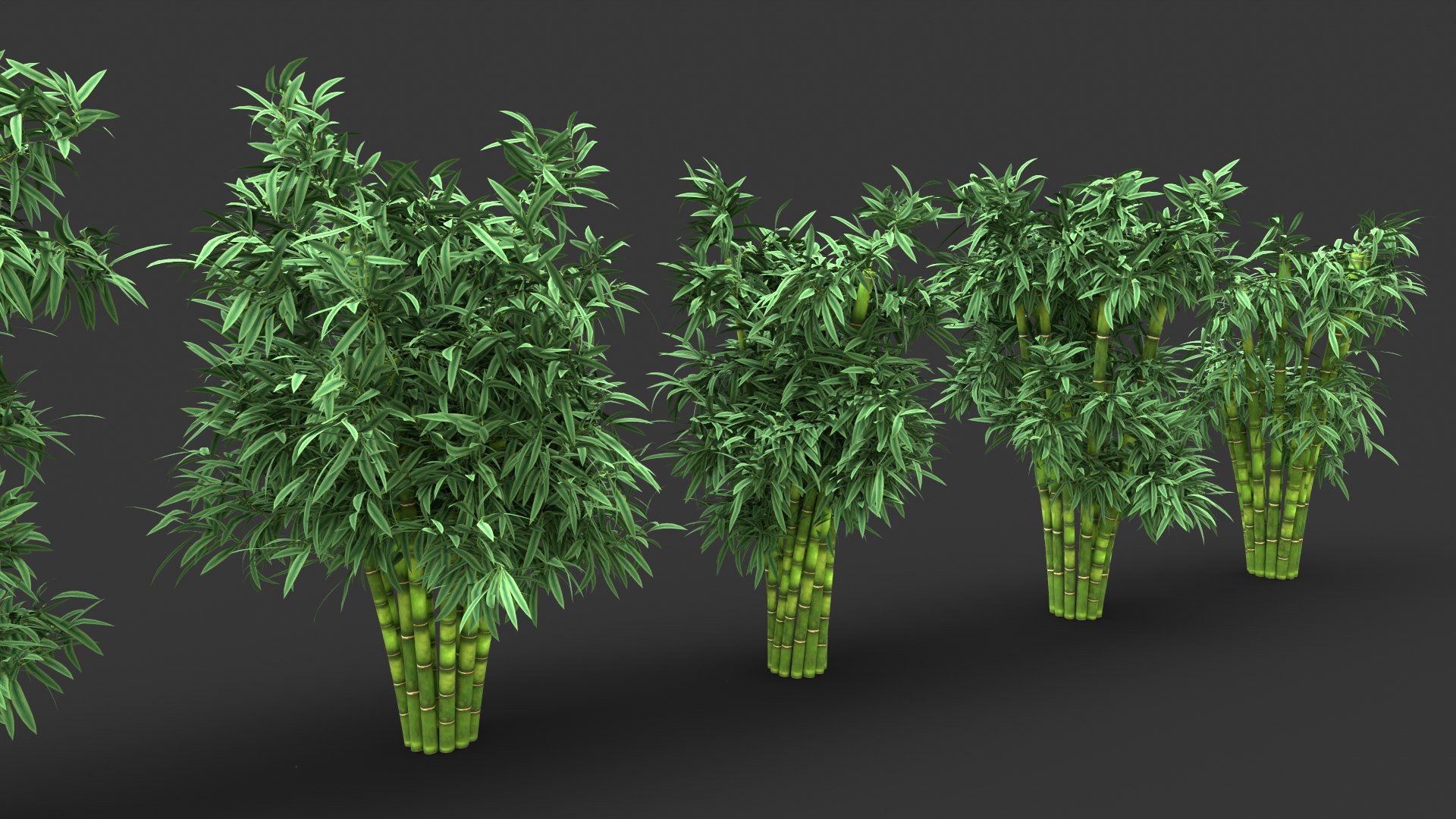 3D Bamboo Tree Pack - TurboSquid 1677524