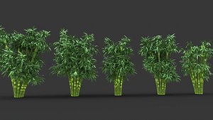 3D decor bamboo model - TurboSquid 1477866