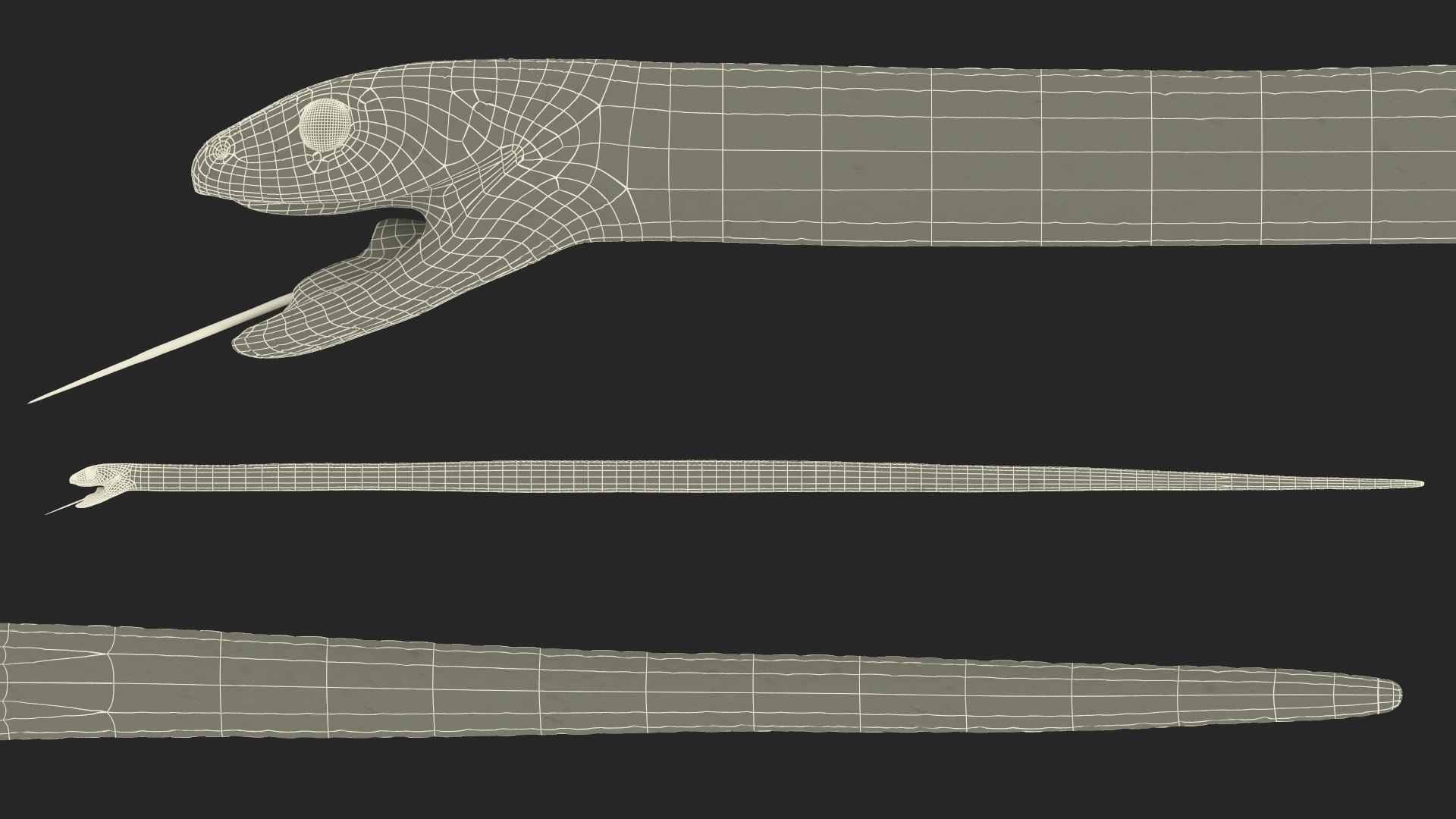 Grass Snake Model - TurboSquid 2248550