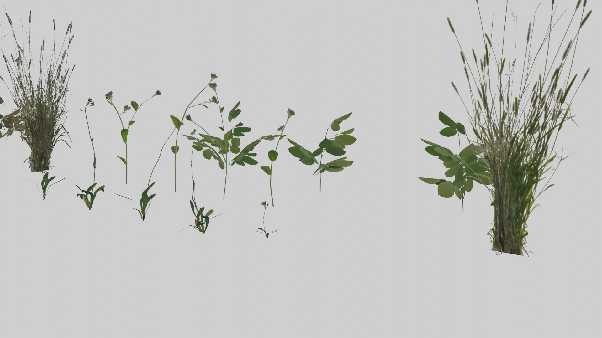 Japanese Foliage Pack Pbr 3D Model - TurboSquid 1468045