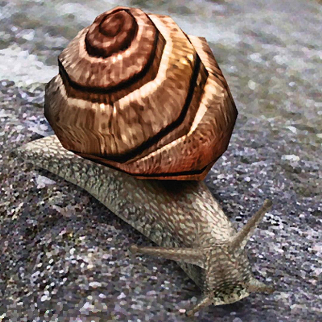 snail 01 max
