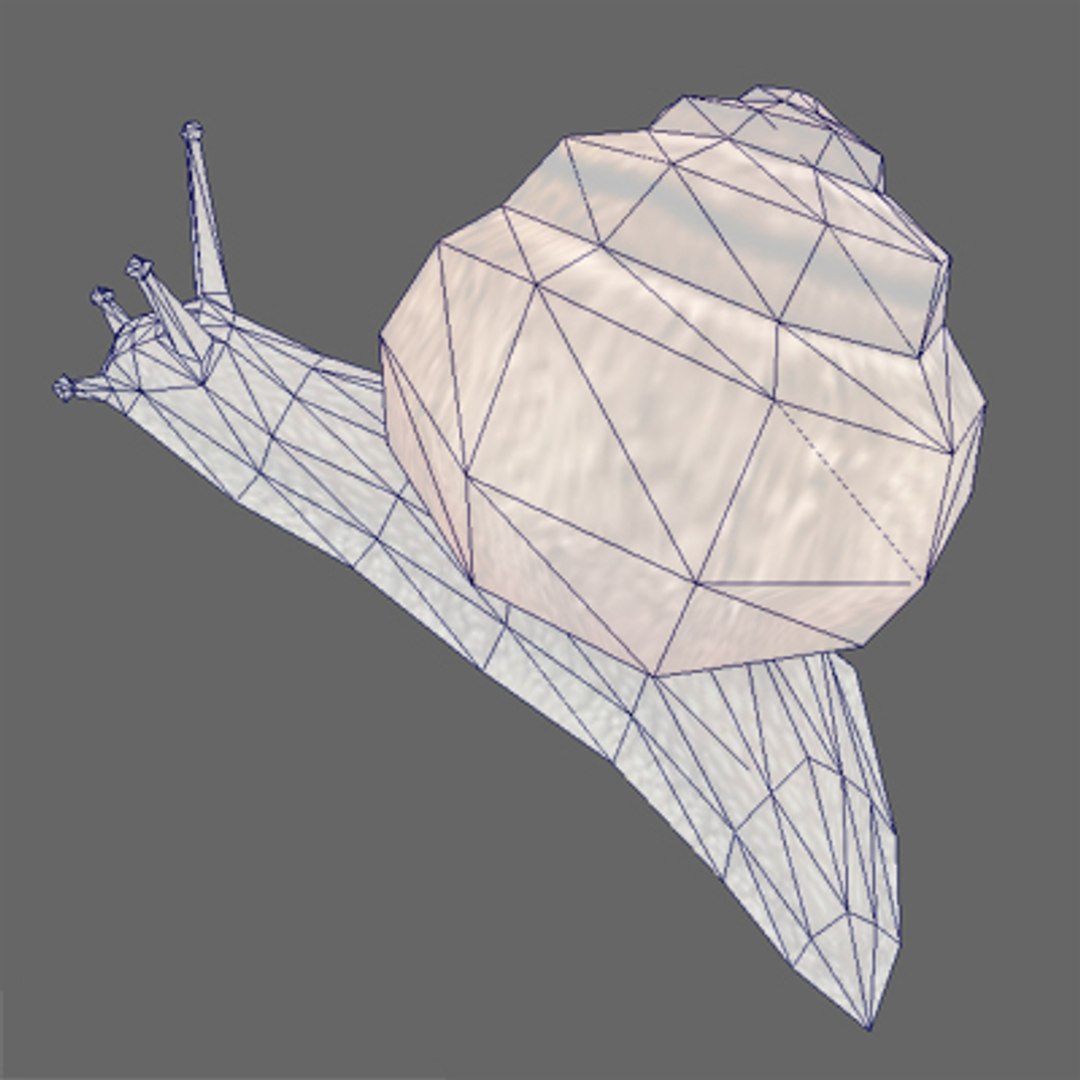 snail 01 max