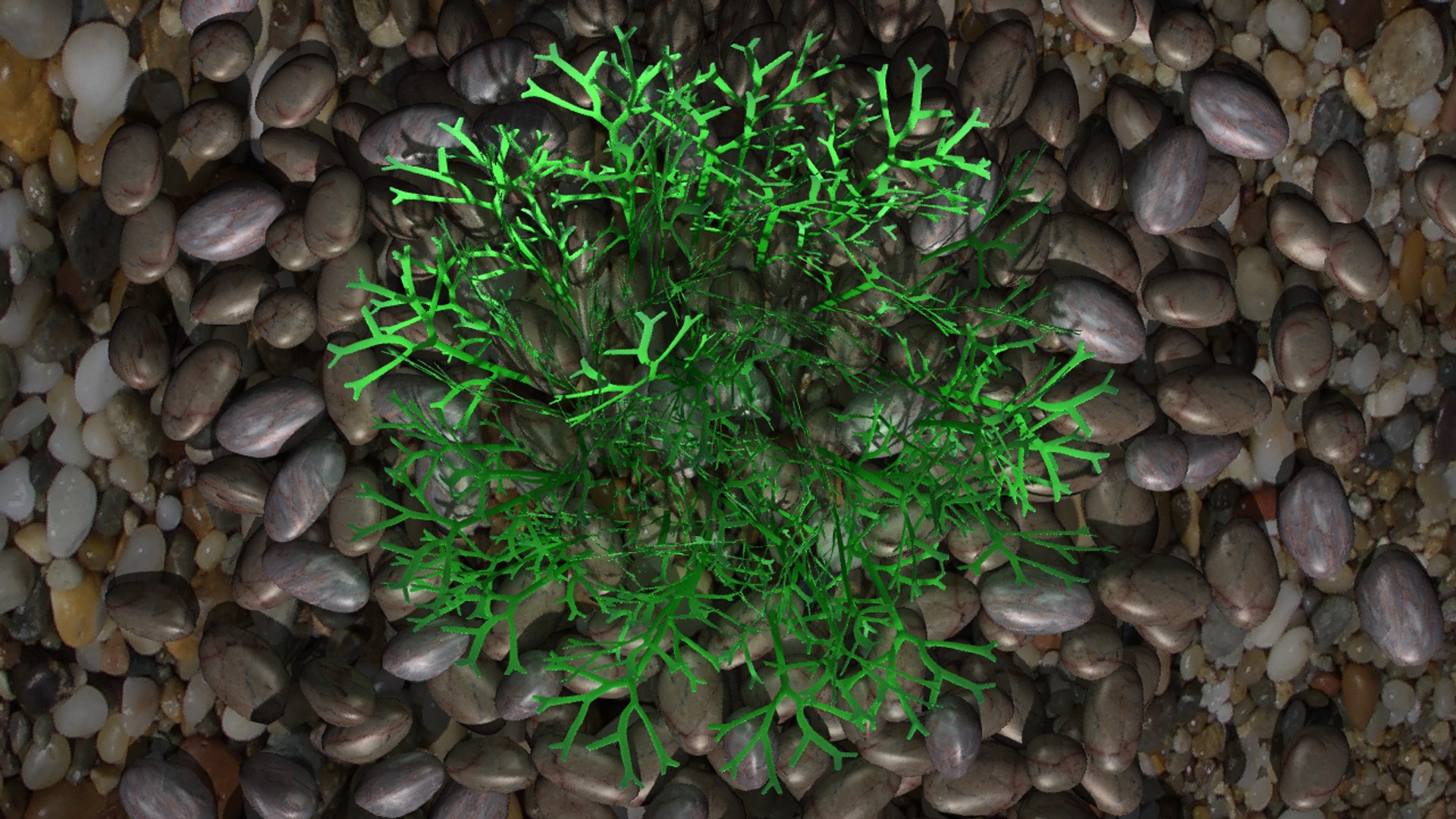 3d riccia plant leaf