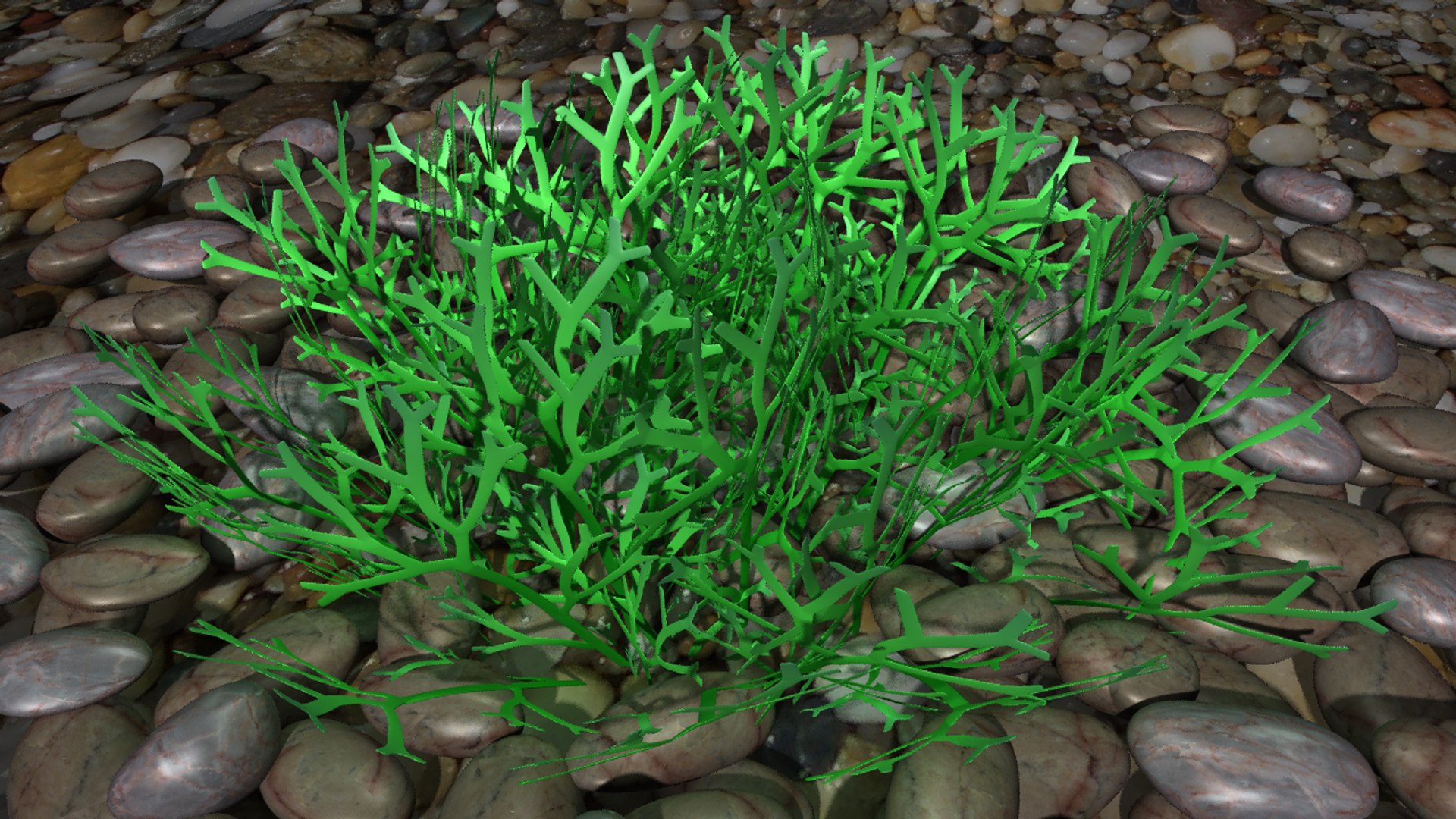 3d riccia plant leaf