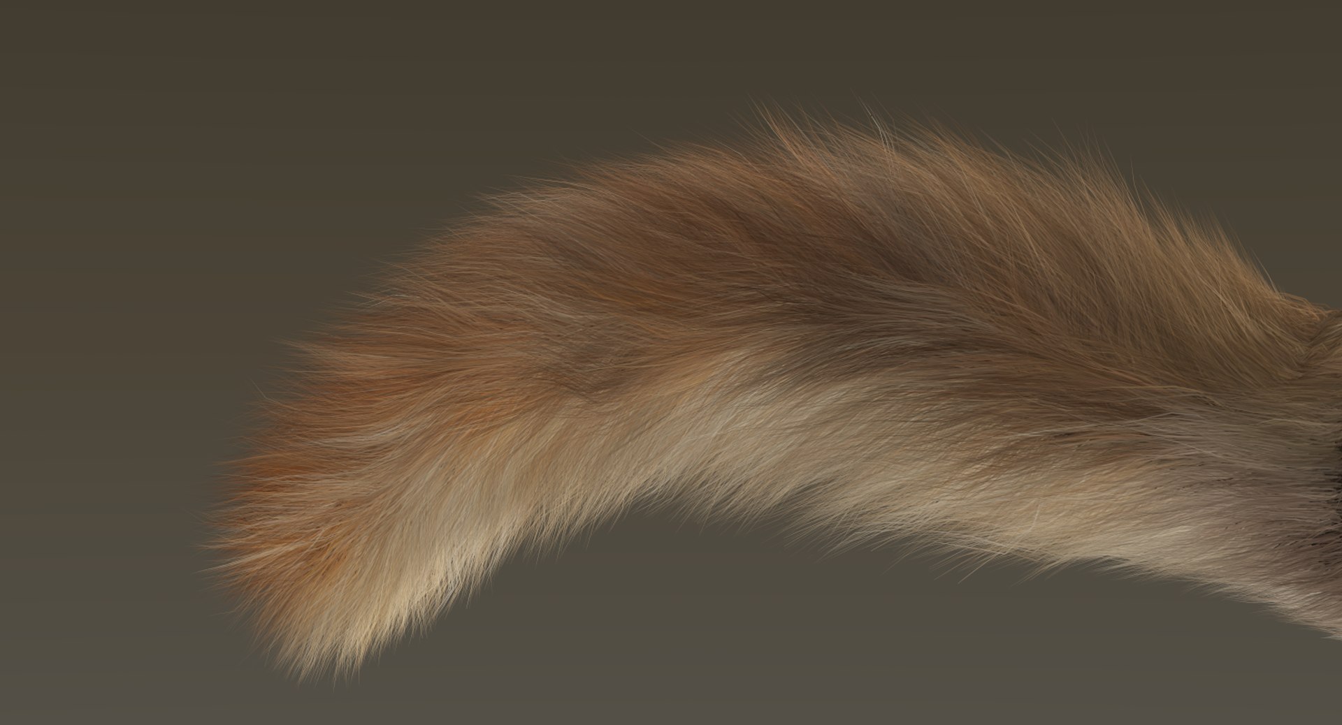 3D Model Squirrel Fur | 1148103 | TurboSquid