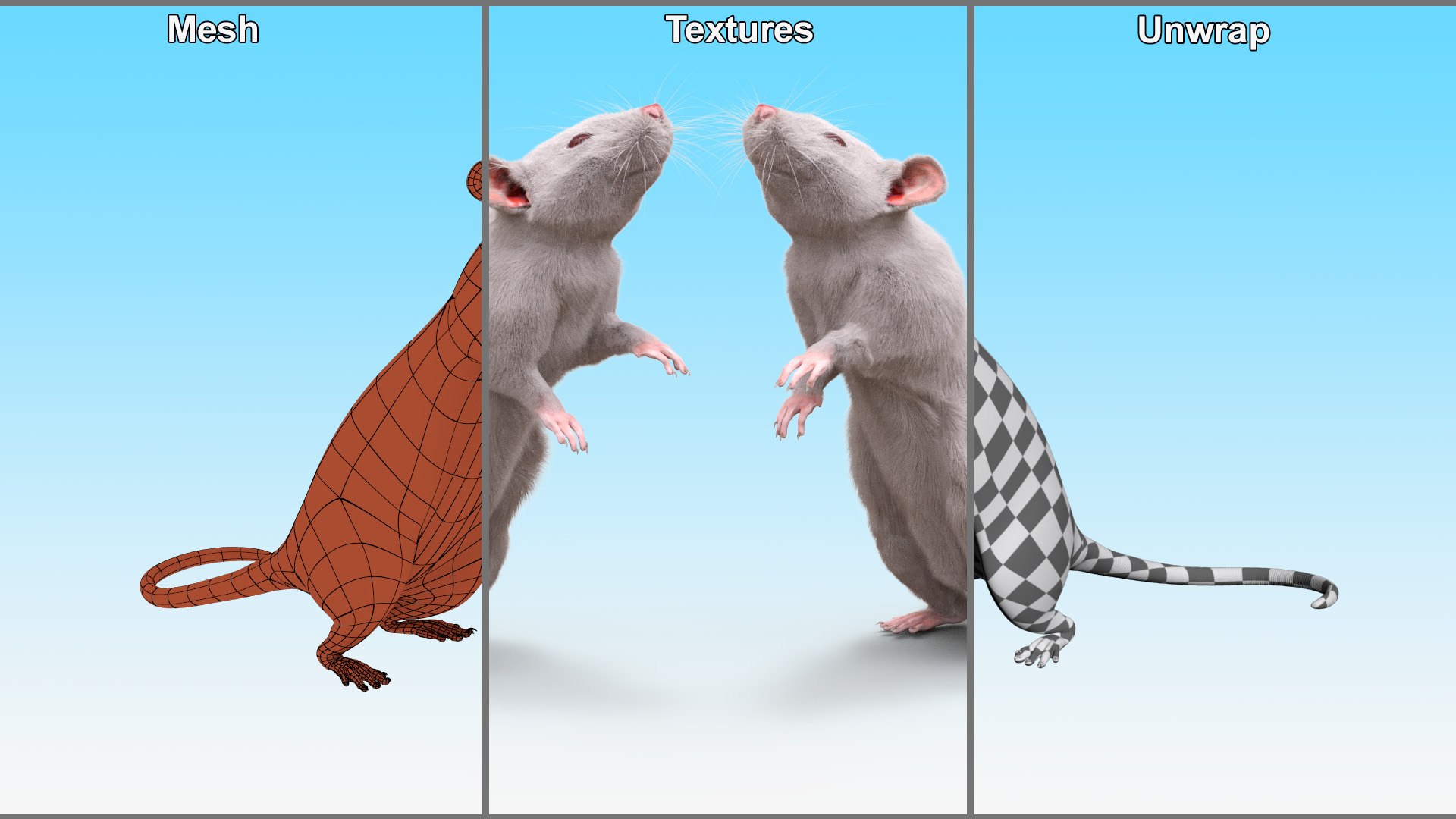 3D Standing Rat With Fur - TurboSquid 2265135