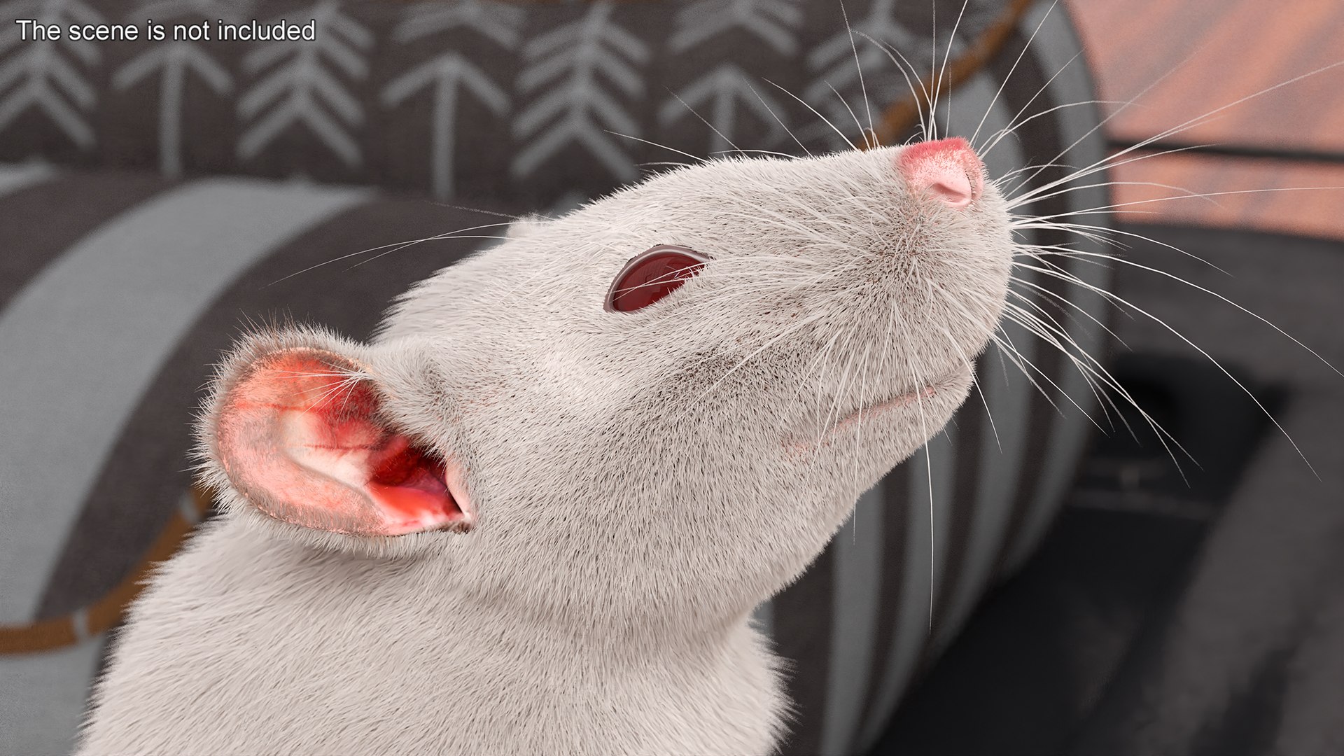 3D Standing Rat With Fur - TurboSquid 2265135