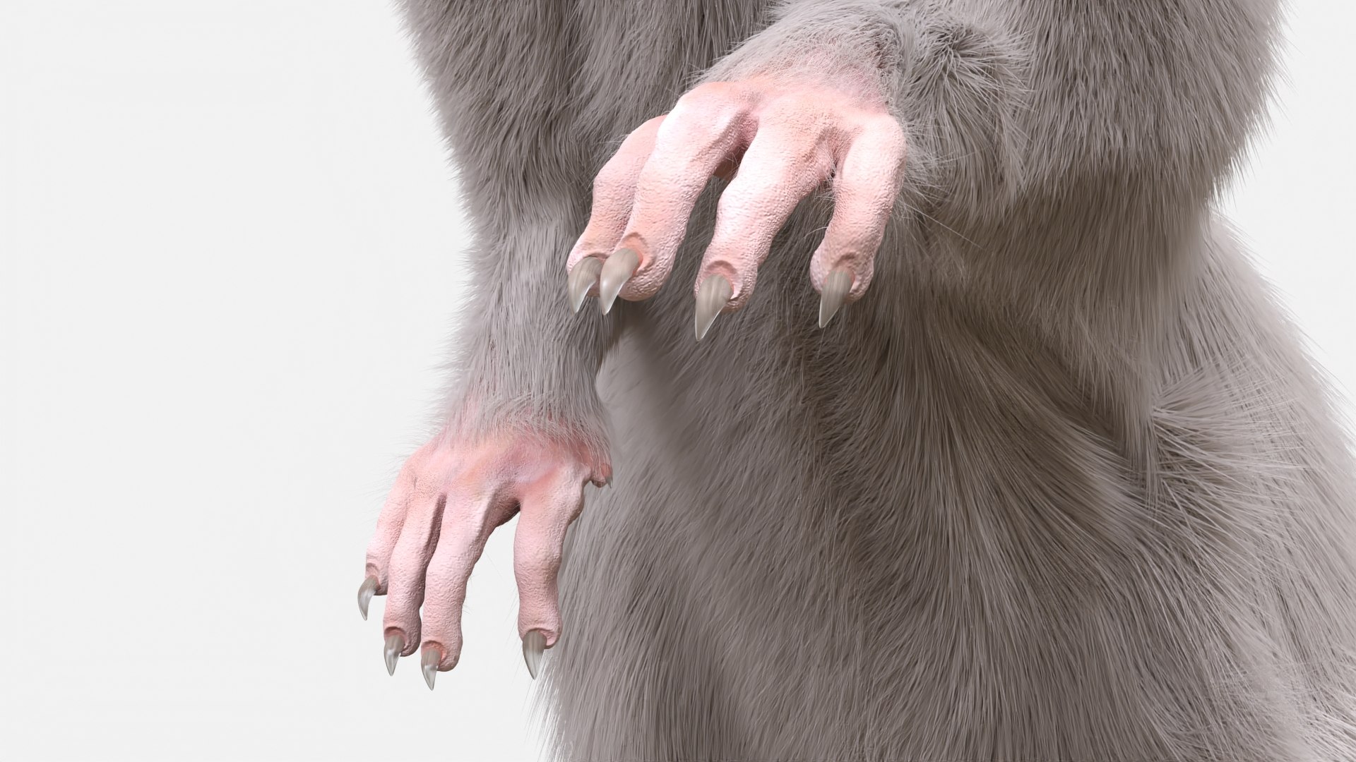 3D Standing Rat With Fur - TurboSquid 2265135