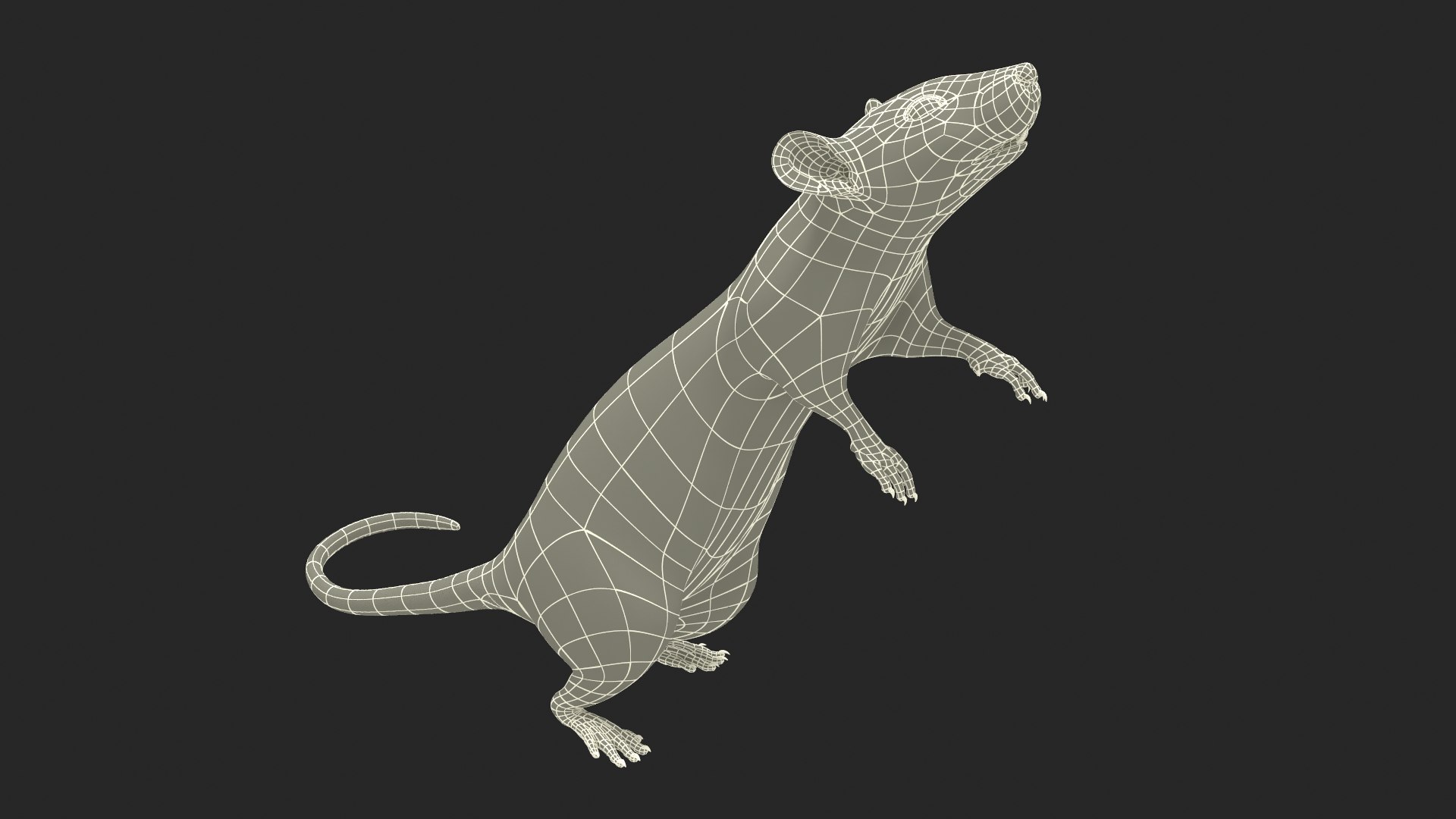 3D Standing Rat With Fur - TurboSquid 2265135