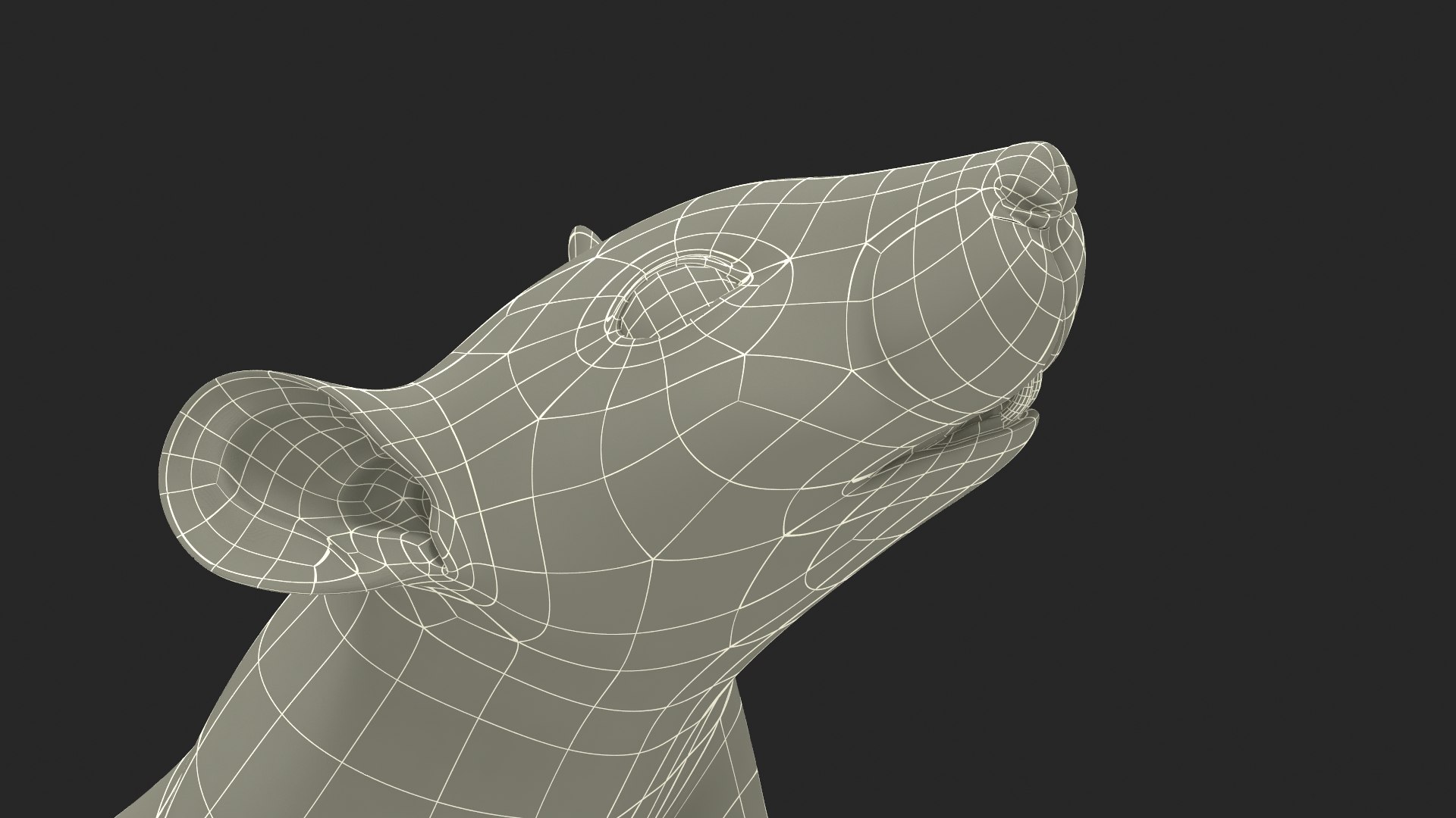 3D Standing Rat With Fur - TurboSquid 2265135
