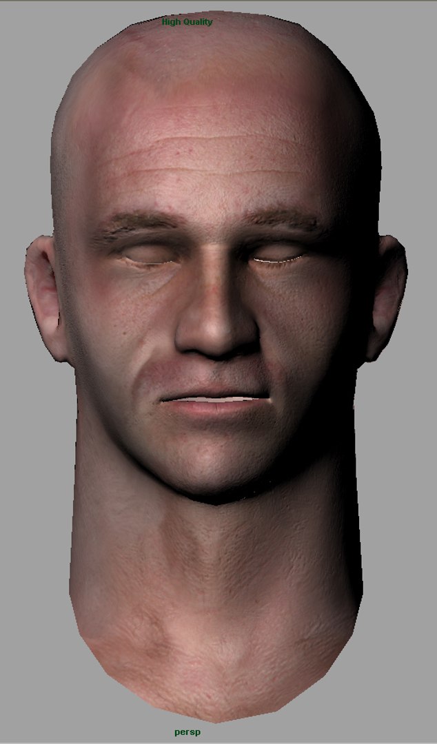 3d Head Mesh Color Normal Maps Model