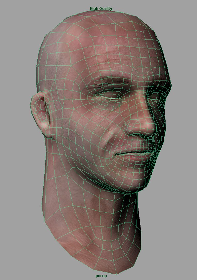 3d Head Mesh Color Normal Maps Model