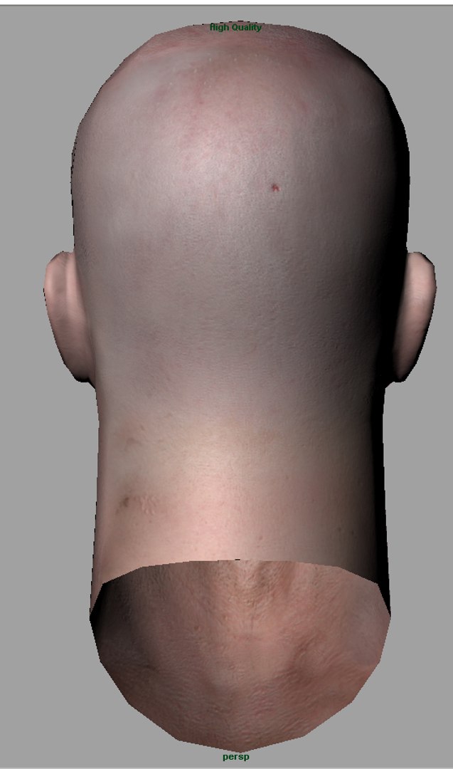3d Head Mesh Color Normal Maps Model