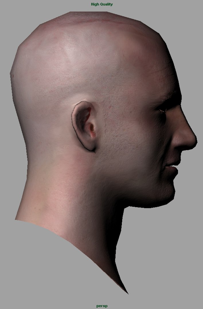 3d Head Mesh Color Normal Maps Model