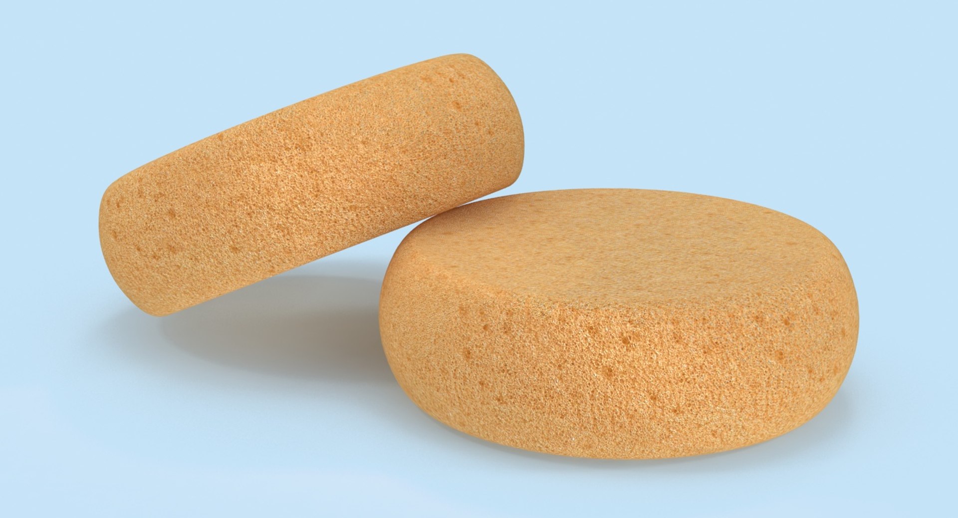Sponge 3d Model