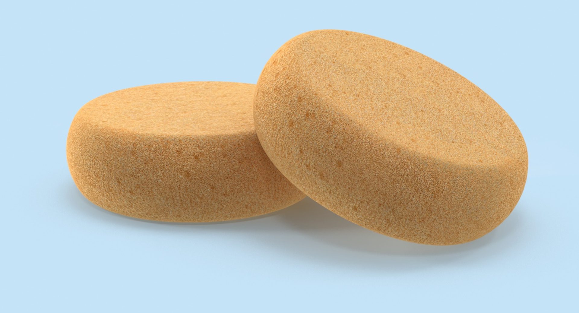 Sponge 3d Model