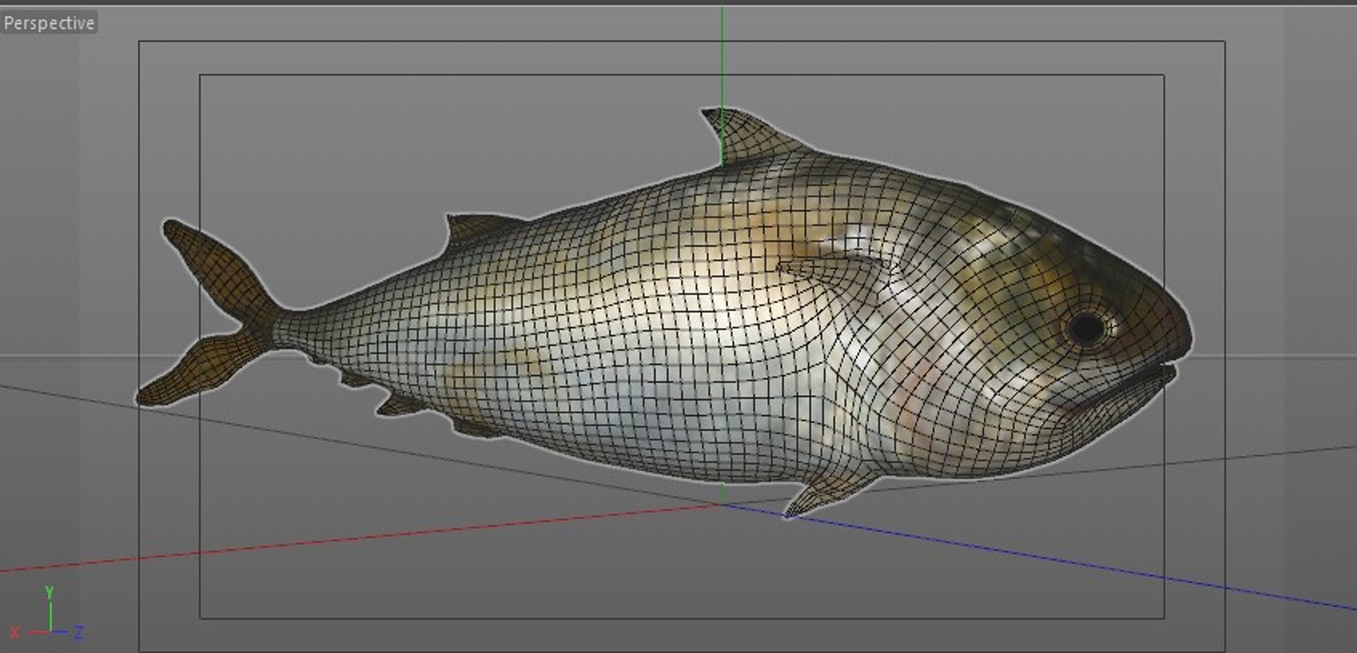 3d Realistic Fish