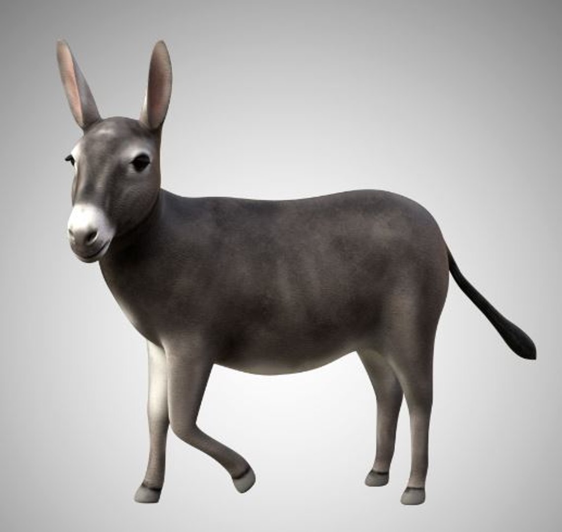 3D Model Rigged Rendering - TurboSquid 1589478