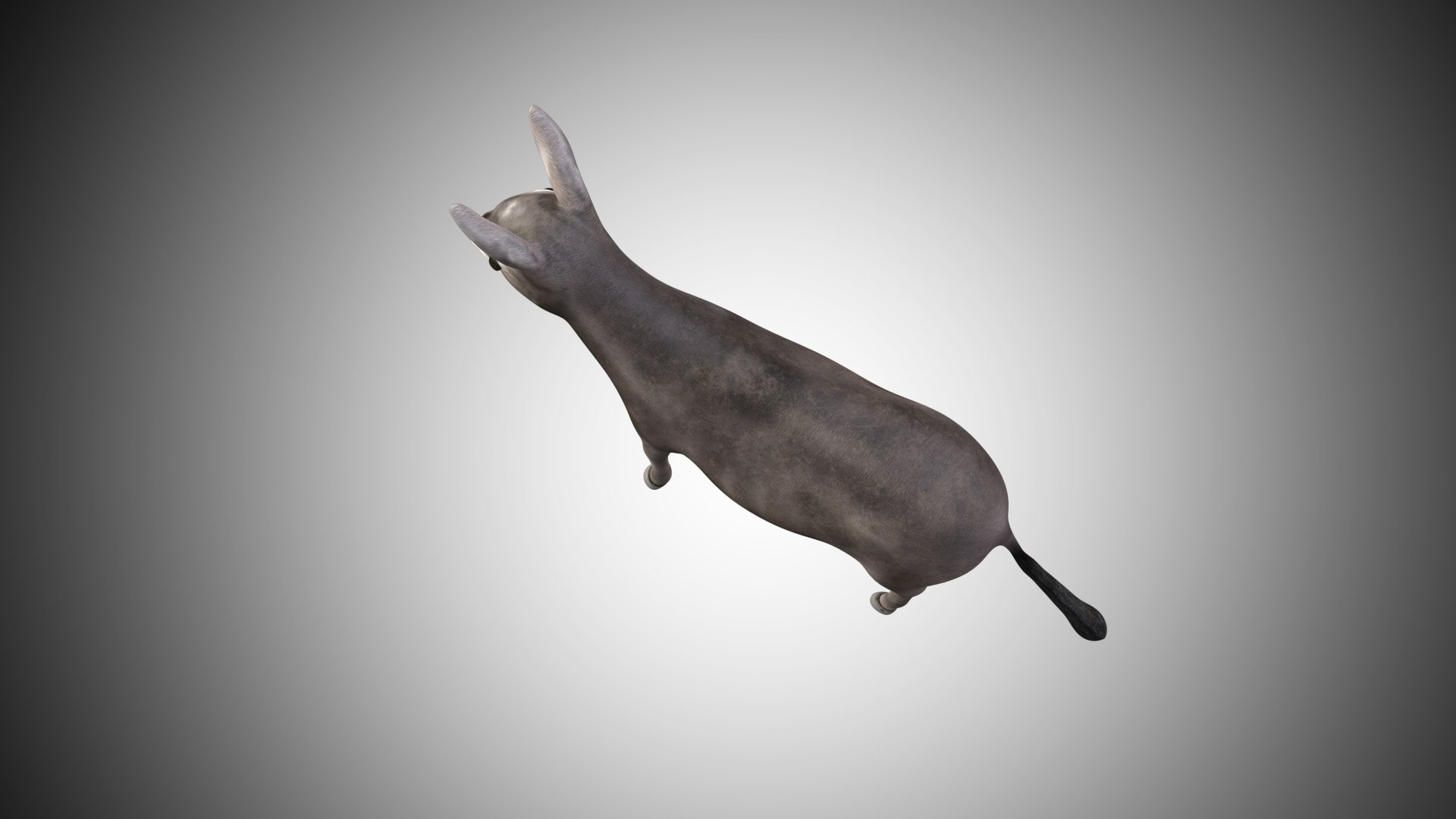 3D Model Rigged Rendering - TurboSquid 1589478