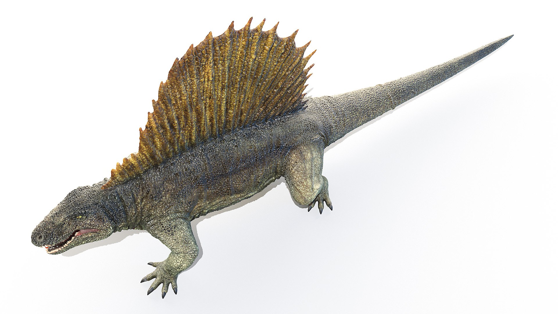 3D Dimetrodon - TurboSquid 1631531
