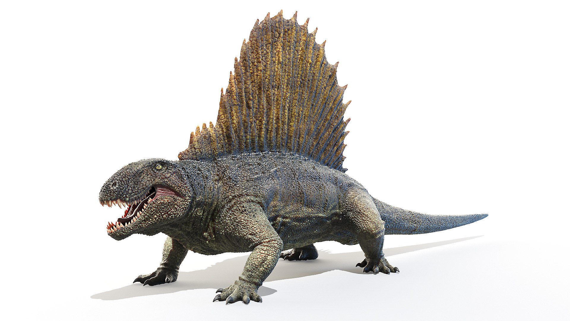 3D Dimetrodon - TurboSquid 1631531
