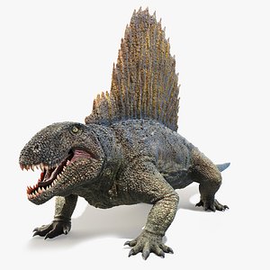 Dimetrodon 3D Models for Download | TurboSquid