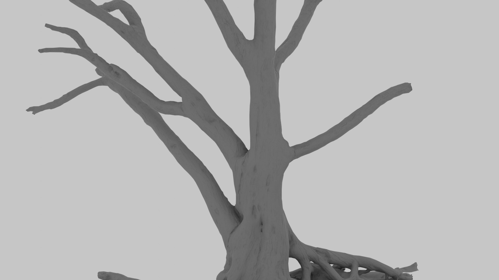 3D Model Namibian Dry Tree 01 LowPoly - Scan - TurboSquid 2047752