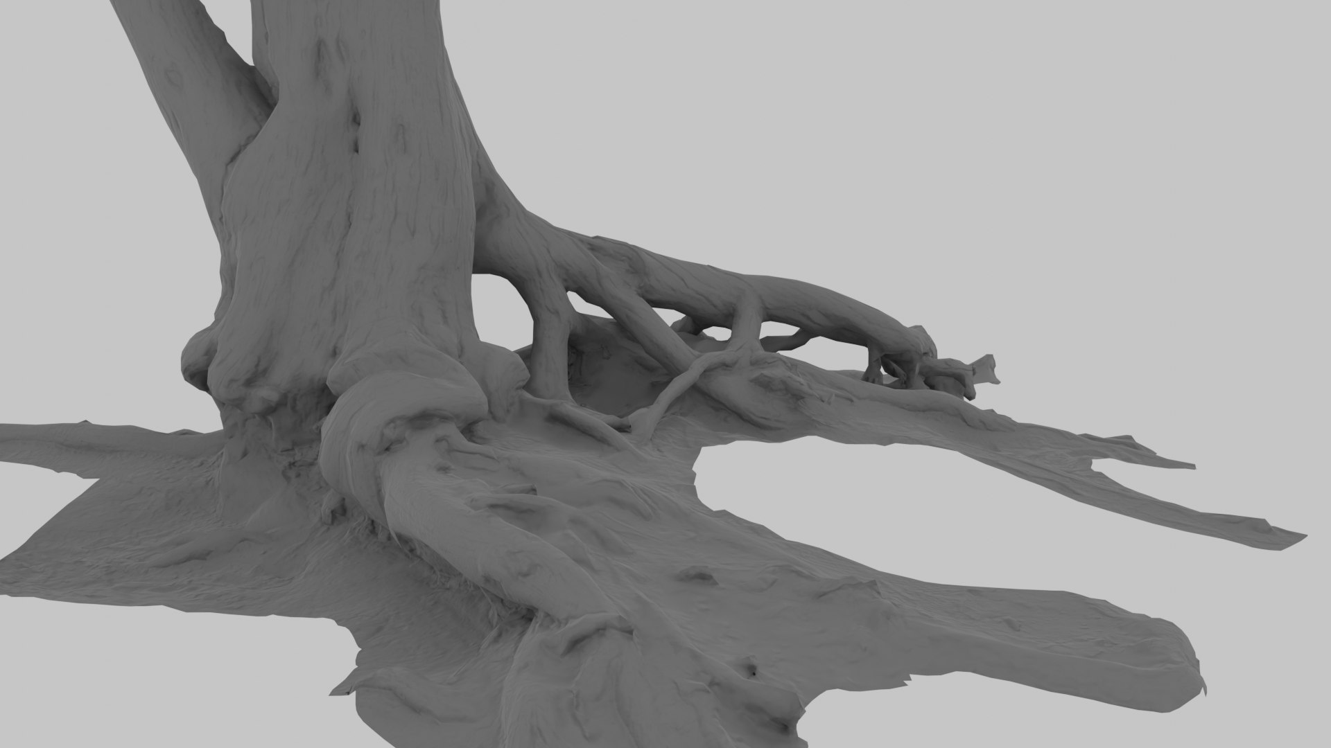 3D Model Namibian Dry Tree 01 LowPoly - Scan - TurboSquid 2047752