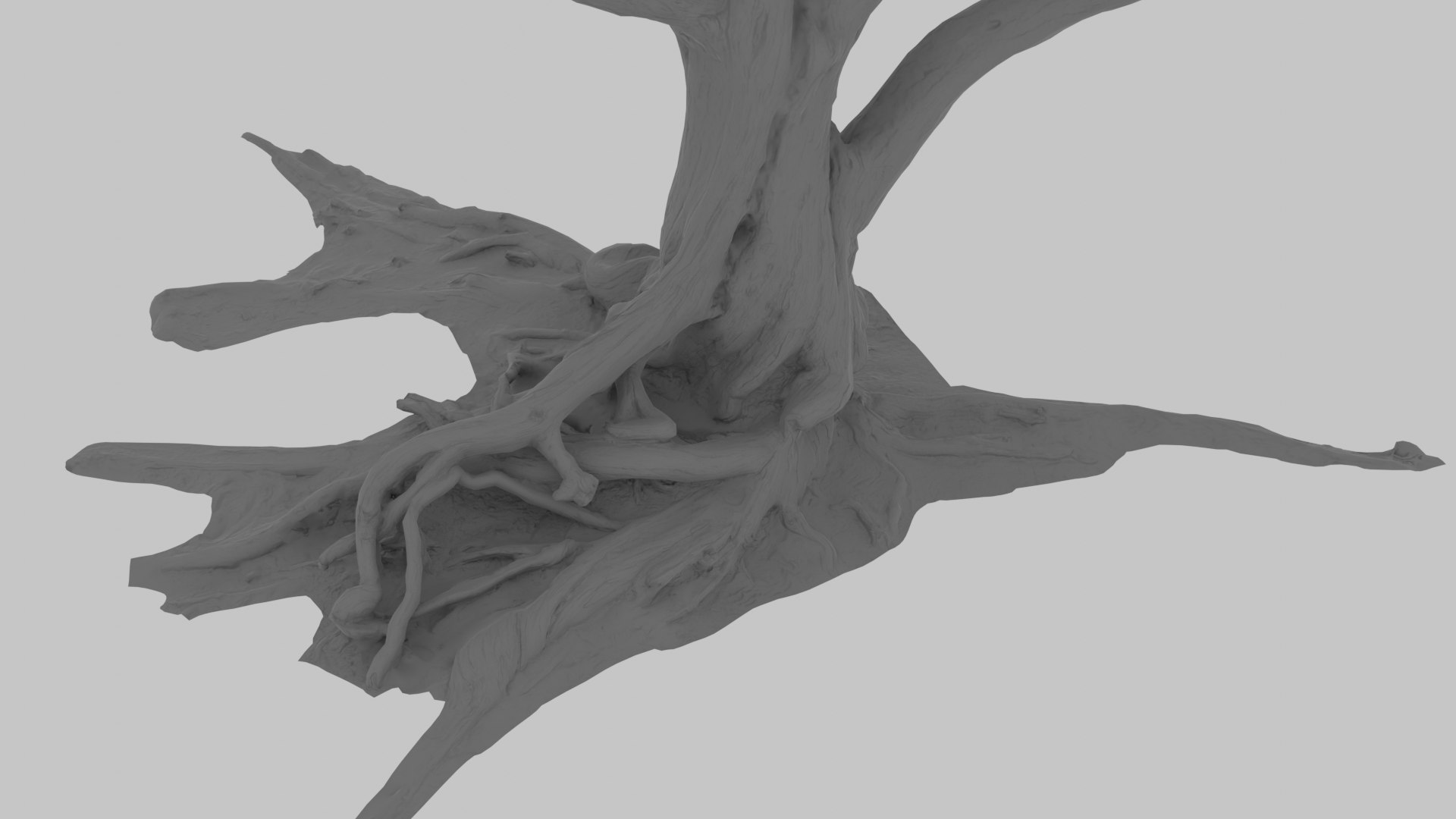 3D Model Namibian Dry Tree 01 LowPoly - Scan - TurboSquid 2047752