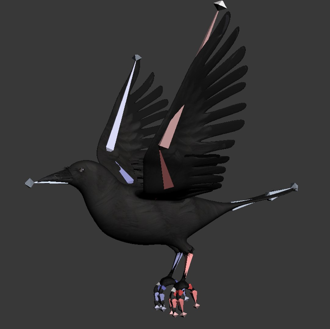 3d Model Crow Flying Animation