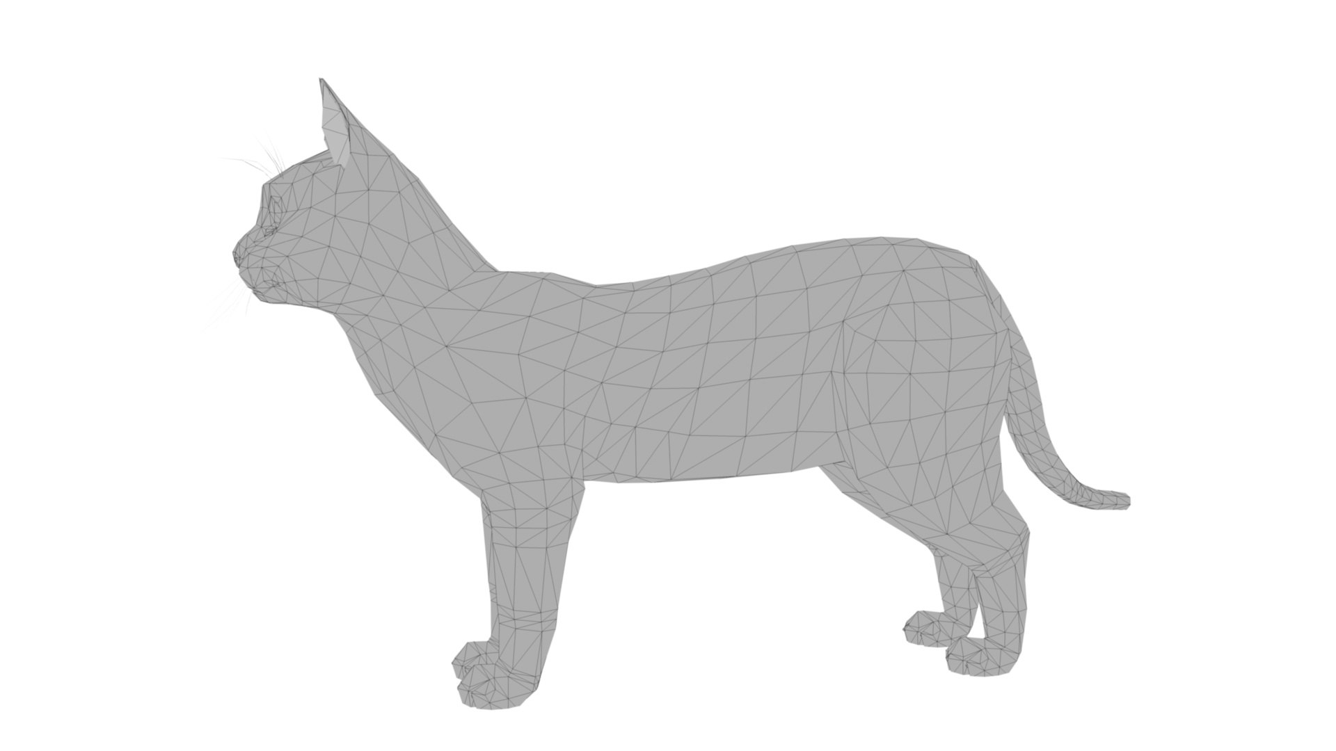 3D White Black Cat Model - TurboSquid 1888036