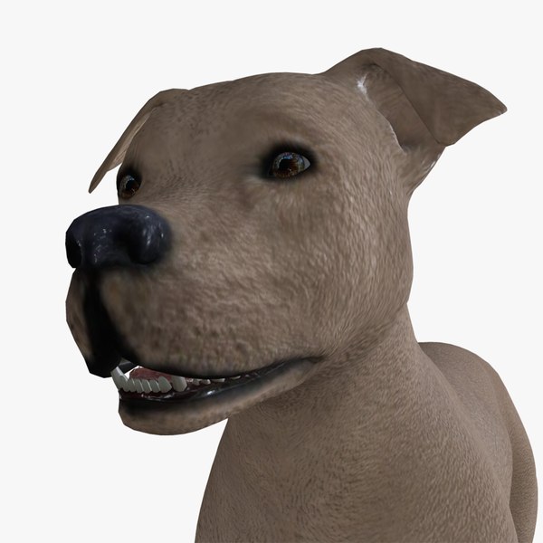Free 3D Pitbull-Dog Models | TurboSquid