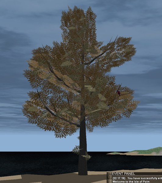 3d ash tree